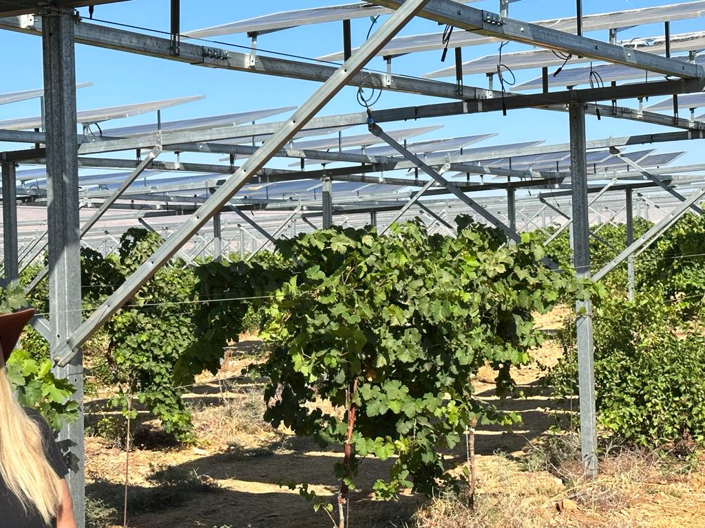 Keren Kayemeth LeIsrael - KKL-JNF - KKL – JNF launched the First ...