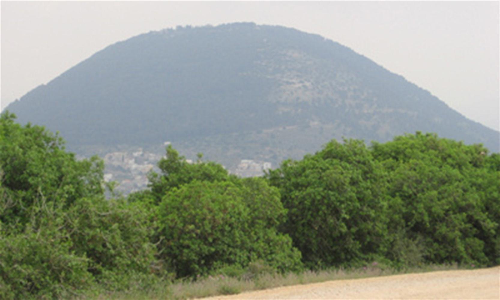 Mount Tabor - The Summit Trail - Keren Kayemeth LeIsrael - KKL-JNF