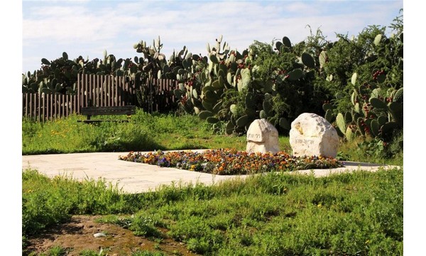 Bridge excursions - A Bridge Over Still Waters - Keren Kayemeth ...