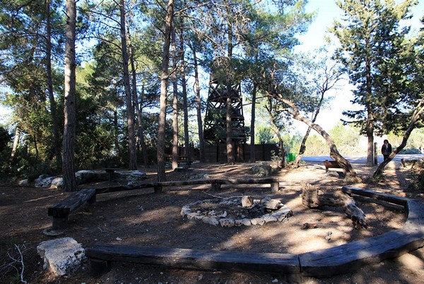 Hanita Forest & Kibbutz Hanita - The Story of Israel | KKL- JNF