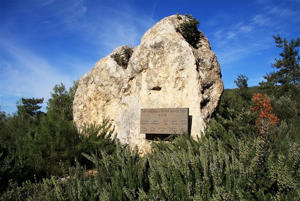 Hanita Forest & Kibbutz Hanita - The Story of Israel | KKL- JNF