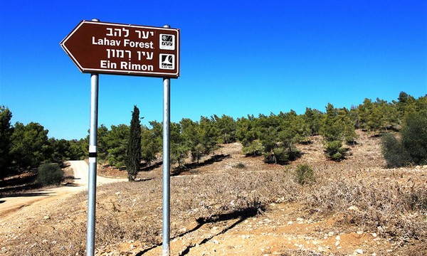 Lahav Forest: Birding Site at Ein Rimon | KKL- JNF