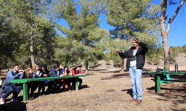 Lahav Forest: Birding Site at Ein Rimon | KKL- JNF